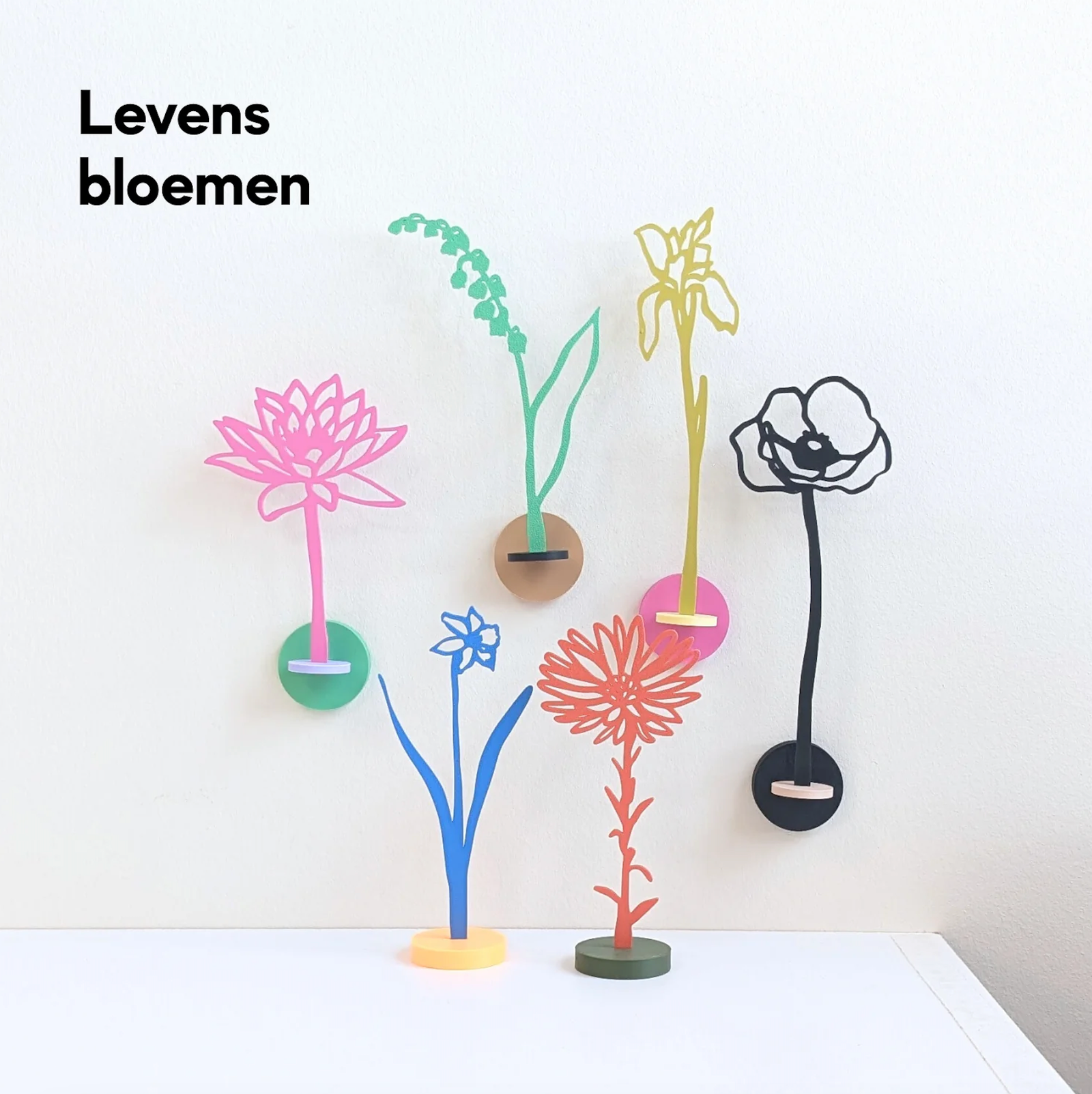 Joeff Levensbloemen – Sparkell